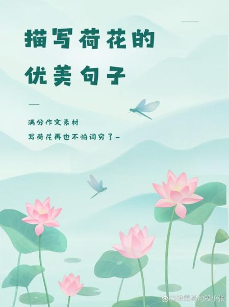 荷花怎么形容_荷花句子唯美短句-第3张图片-山城妙识