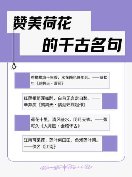 荷花怎么形容_荷花句子唯美短句-第2张图片-山城妙识