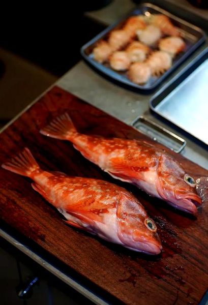 虎头鱼长什么样子_虎头鱼好吃吗-第2张图片-山城妙识