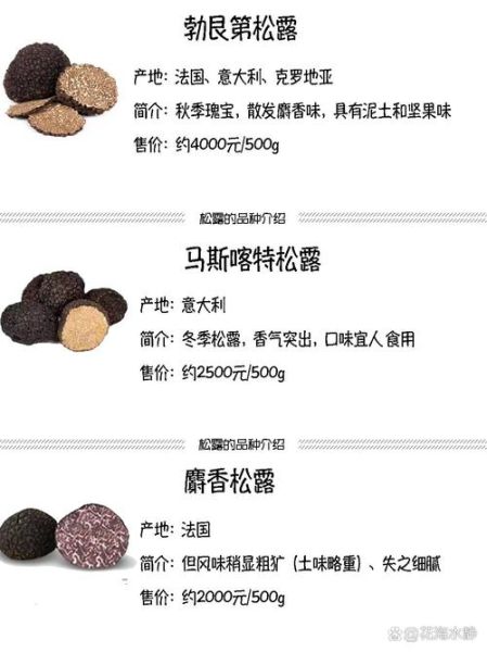 松露和松茸哪个贵_价格差距有多大-第2张图片-山城妙识