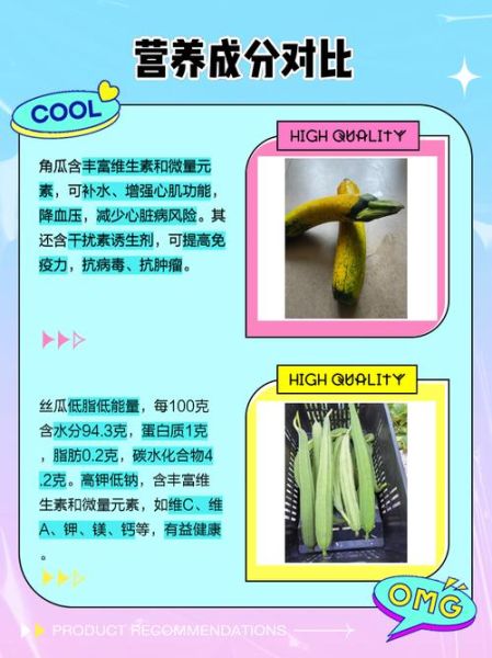 角瓜图片大全_角瓜和丝瓜的区别-第1张图片-山城妙识 角瓜图片大全_角瓜和丝瓜的区别-第1张图片-山城妙识