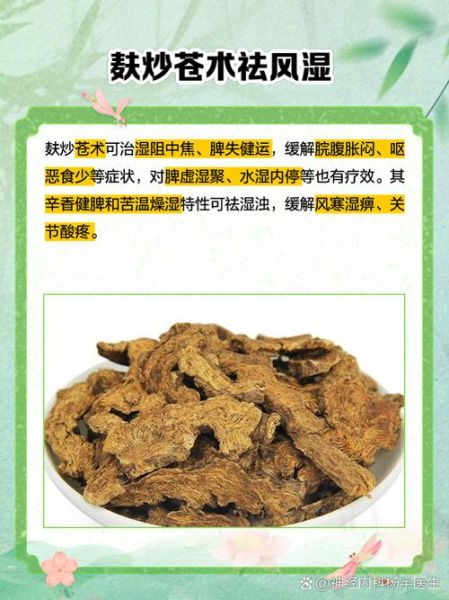 麸炒苍术的功效与作用_麸炒苍术和苍术区别-第1张图片-山城妙识 麸炒苍术的功效与作用_麸炒苍术和苍术区别-第1张图片-山城妙识