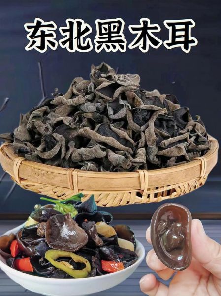 黑木耳补肾吗_肾虚吃黑木耳有没有用-第3张图片-山城妙识