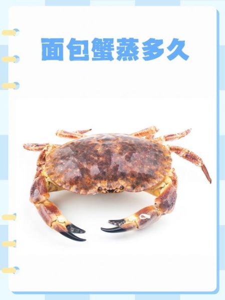 螃蟹怎么蒸_蒸多久才熟-第3张图片-山城妙识