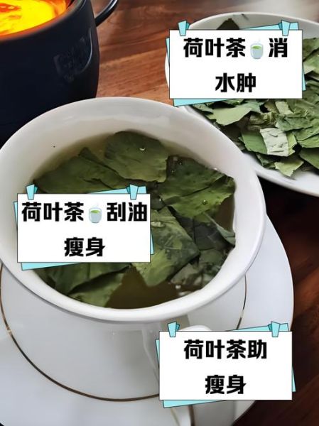 荷叶茶减肥吗_荷叶茶减肥原理-第3张图片-山城妙识