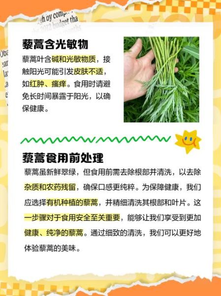 芦蒿的功效与作用_芦蒿怎么吃最养生-第1张图片-山城妙识