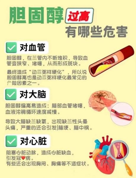 血脂稠的症状有哪些_血脂稠的危害是什么-第1张图片-山城妙识