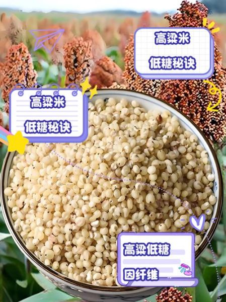 高粱米的热量是多少_高粱米减肥能吃吗-第3张图片-山城妙识 高粱米的热量是多少_高粱米减肥能吃吗-第3张图片-山城妙识