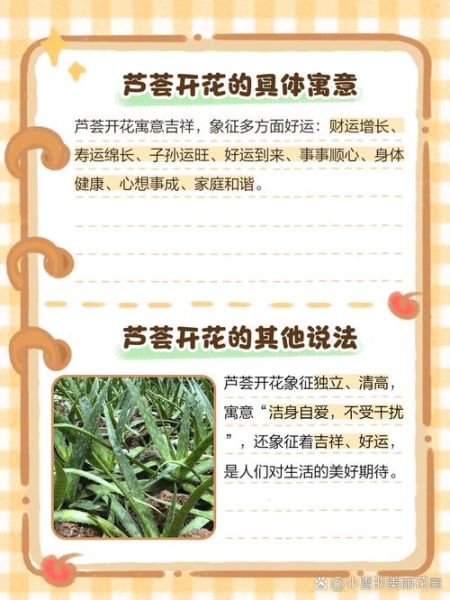 芦荟开花图片_芦荟开花预示着什么-第3张图片-山城妙识 芦荟开花图片_芦荟开花预示着什么-第3张图片-山城妙识