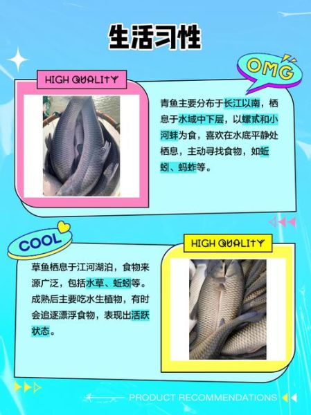 草鱼和青鱼的区别_哪个更好吃-第1张图片-山城妙识