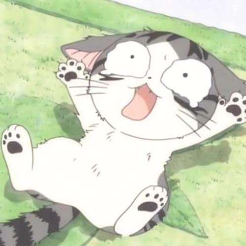 起司猫头像怎么选_起司猫头像适合哪些场景-第1张图片-山城妙识 起司猫头像怎么选_起司猫头像适合哪些场景-第1张图片-山城妙识