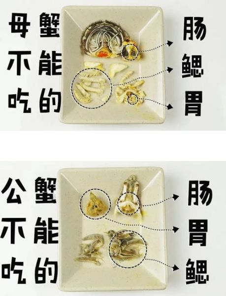 螃蟹吃什么部位图解_螃蟹哪些部位不能吃-第1张图片-山城妙识 螃蟹吃什么部位图解_螃蟹哪些部位不能吃-第1张图片-山城妙识