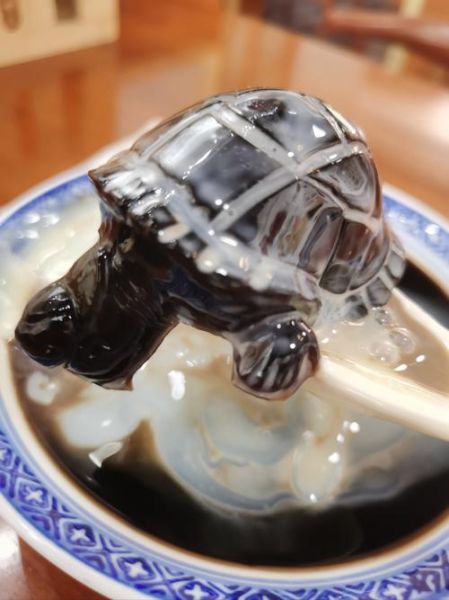 龟苓膏里面有乌龟吗_龟苓膏成分真相-第2张图片-山城妙识 龟苓膏里面有乌龟吗_龟苓膏成分真相-第2张图片-山城妙识