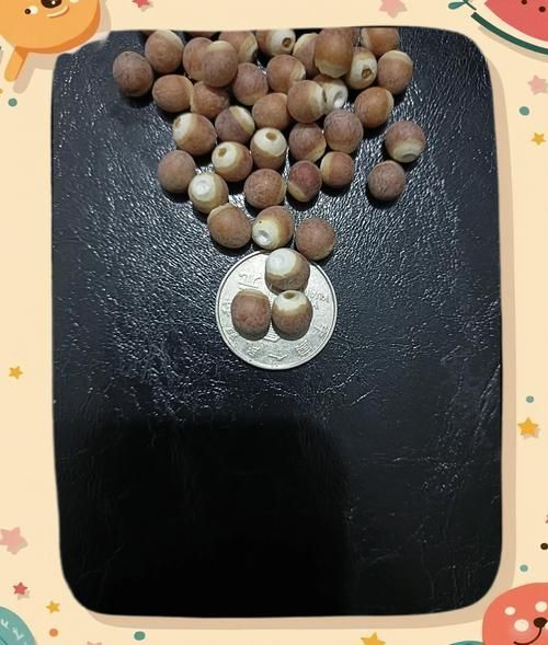 野生鸡头米和种植鸡头米区别_野生鸡头米图片怎么辨认-第2张图片-山城妙识 野生鸡头米和种植鸡头米区别_野生鸡头米图片怎么辨认-第2张图片-山城妙识