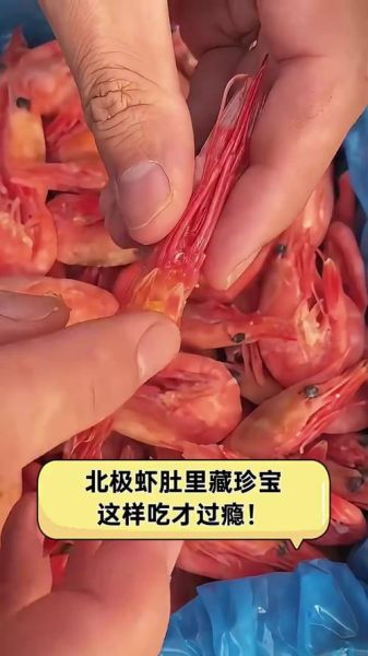 腹部带籽北极虾怎么吃_北极虾籽能吃吗-第2张图片-山城妙识