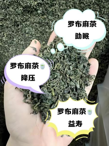 罗布麻降血压真的有用吗_罗布麻茶的功效与副作用-第3张图片-山城妙识