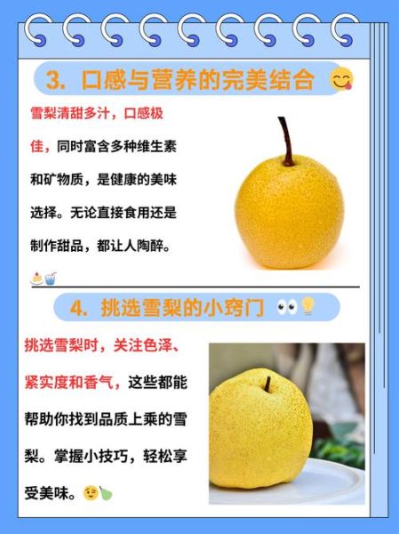 熟梨的功效与作用_熟梨的禁忌有哪些-第3张图片-山城妙识