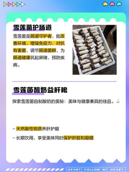 雪莲菌的功效与作用_雪莲菌怎么吃效果最好-第2张图片-山城妙识