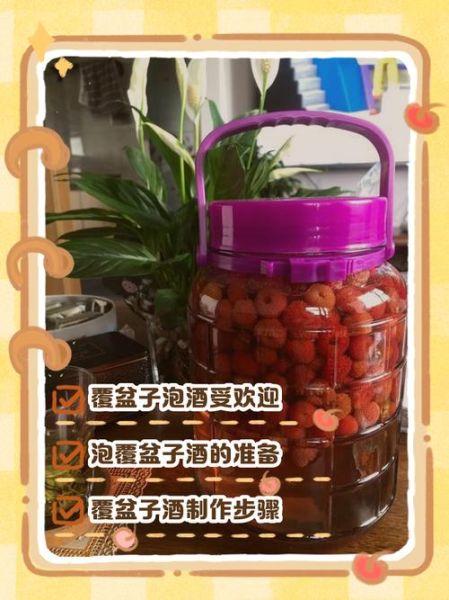 覆盆子酒的功效与作用禁忌_覆盆子酒适合什么人喝-第1张图片-山城妙识
