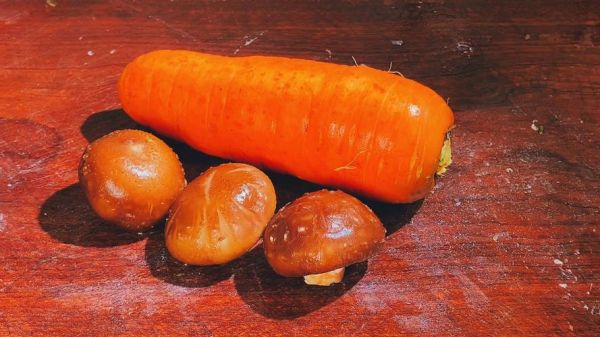 香菇不能和胡萝卜一起吃吗_香菇禁忌搭配胡萝卜的真相-第3张图片-山城妙识