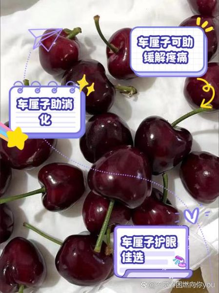 车厘子的功效与作用及禁忌_哪些人不能吃-第1张图片-山城妙识 车厘子的功效与作用及禁忌_哪些人不能吃-第1张图片-山城妙识