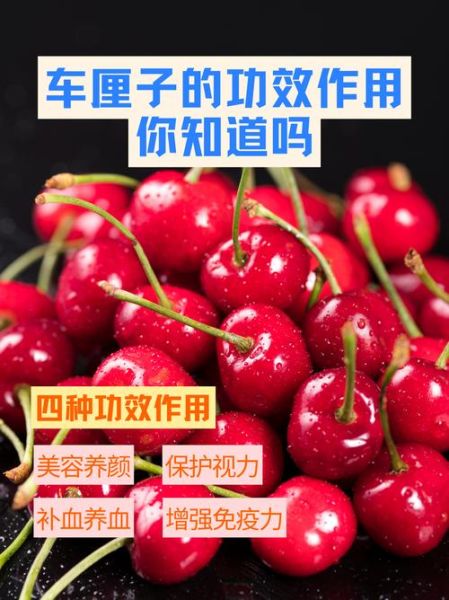 车厘子的功效与作用及禁忌_哪些人不能吃-第3张图片-山城妙识 车厘子的功效与作用及禁忌_哪些人不能吃-第3张图片-山城妙识