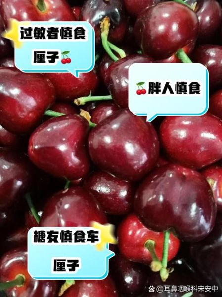 车厘子的功效与作用及禁忌_哪些人不能吃-第2张图片-山城妙识 车厘子的功效与作用及禁忌_哪些人不能吃-第2张图片-山城妙识