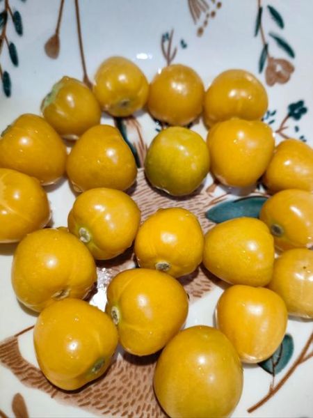 黄姑娘果怎么吃_黄姑娘果的功效与作用-第2张图片-山城妙识 黄姑娘果怎么吃_黄姑娘果的功效与作用-第2张图片-山城妙识