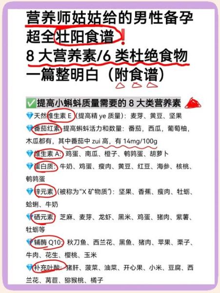 强碱性食物有哪些_备孕男孩怎么吃-第3张图片-山城妙识