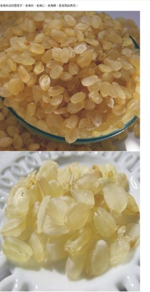 雪莲子是皂角米吗_两者区别与功效对比-第3张图片-山城妙识 雪莲子是皂角米吗_两者区别与功效对比-第3张图片-山城妙识