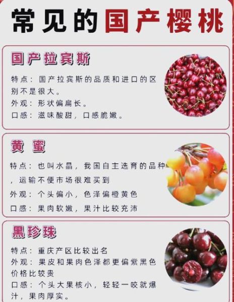 车厘子和樱桃是一个东西吗_车厘子与樱桃的区别-第2张图片-山城妙识