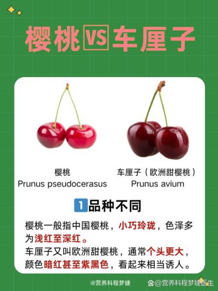 车厘子和樱桃是一个东西吗_车厘子与樱桃的区别-第1张图片-山城妙识