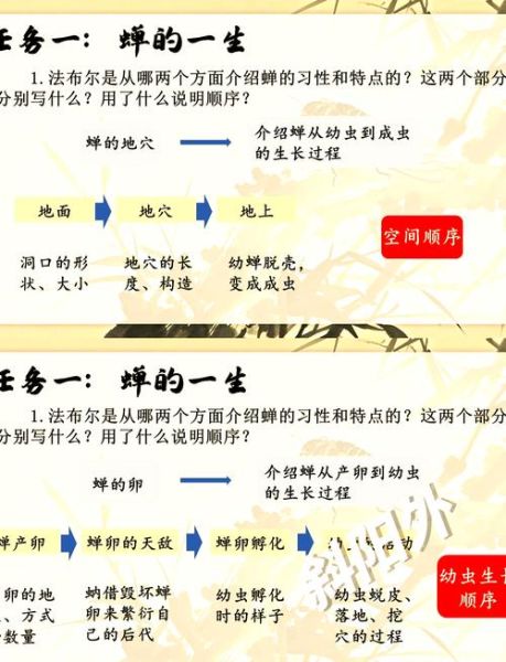 蝉的一生图片_蝉的寿命有多长-第3张图片-山城妙识