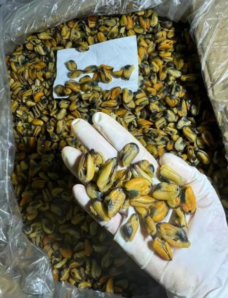 淡菜干怎么泡发_淡菜干的做法大全-第1张图片-山城妙识