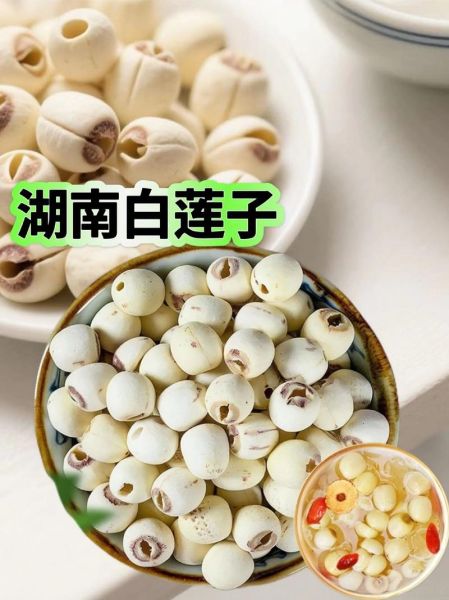 鲜莲子怎么吃_鲜莲子能生吃吗-第2张图片-山城妙识 鲜莲子怎么吃_鲜莲子能生吃吗-第2张图片-山城妙识