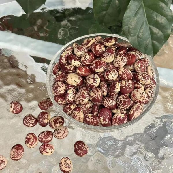 花豆怎么做好吃_花豆的营养价值有哪些-第2张图片-山城妙识 花豆怎么做好吃_花豆的营养价值有哪些-第2张图片-山城妙识