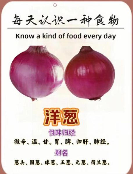 大葱和洋葱的营养价值一样吗_哪个更健康-第1张图片-山城妙识