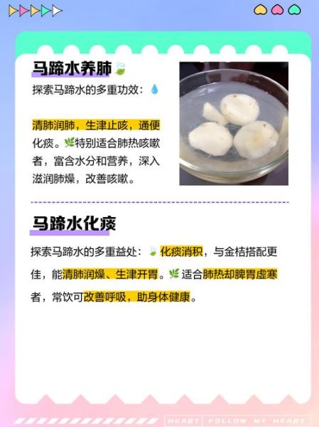 马蹄煮水喝有什么功效_马蹄煮水可以天天喝吗-第3张图片-山城妙识