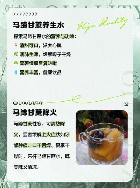 马蹄煮水喝有什么功效_马蹄煮水可以天天喝吗-第2张图片-山城妙识