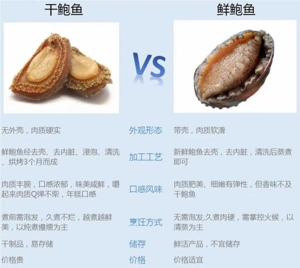 鲍鱼是鱼类吗_鲍鱼属于什么动物-第2张图片-山城妙识