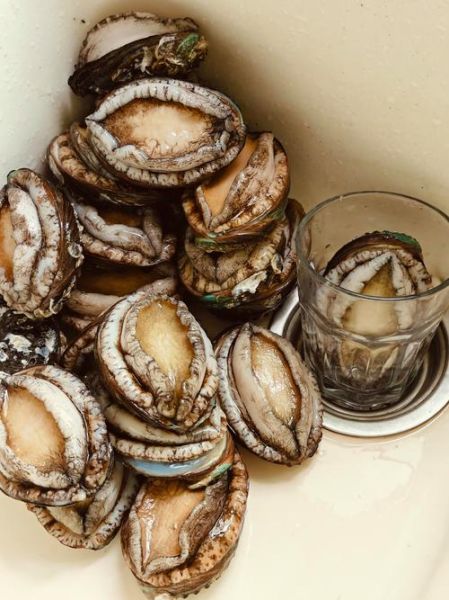 鲍鱼是鱼类吗_鲍鱼属于什么动物-第3张图片-山城妙识