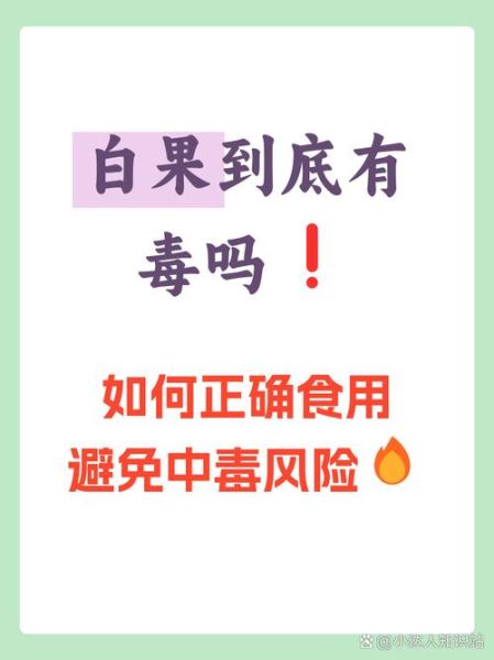 银杏果有毒吗_能直接吃吗-第3张图片-山城妙识