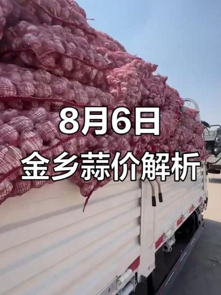 金乡大蒜最新价格_金乡大蒜今日行情-第3张图片-山城妙识