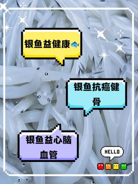 银鱼的营养价值及功效_银鱼的禁忌人群有哪些-第3张图片-山城妙识