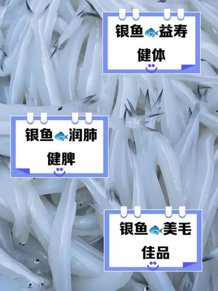 银鱼的营养价值及功效_银鱼的禁忌人群有哪些-第2张图片-山城妙识