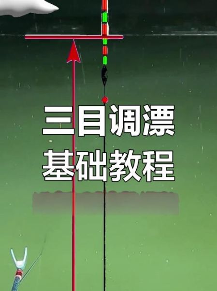 鲫鱼漂怎么调_野钓鲫鱼调漂技巧-第3张图片-山城妙识