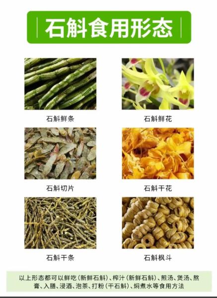 石斛品种76图片大全_如何区分铁皮石斛与金钗石斛-第1张图片-山城妙识