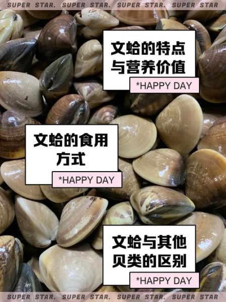 蛤蜊怎么读_蛤蜊正确读音是什么-第1张图片-山城妙识