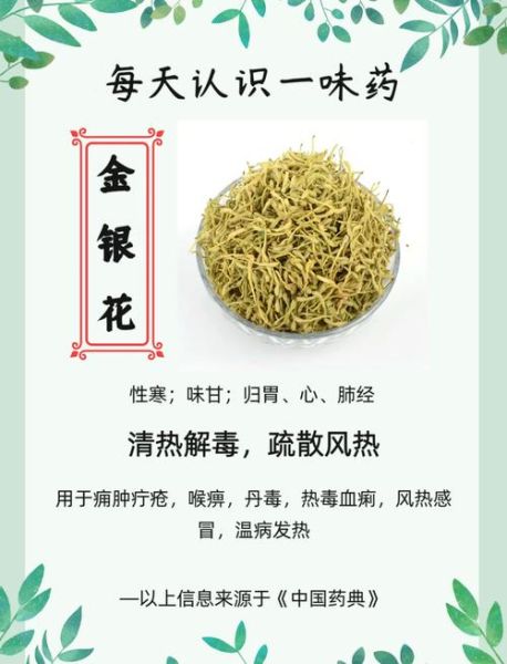 金银花泡水喝的害处_金银花长期喝有什么副作用-第1张图片-山城妙识