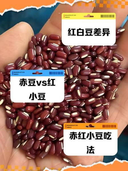 赤豆和红小豆的区别是什么_哪个更适合做豆沙-第2张图片-山城妙识